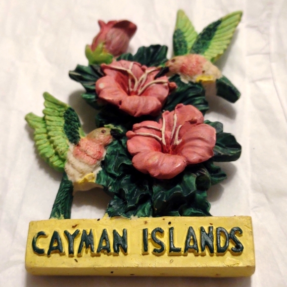 Vintage | Other | Vintage Cayman Islands Tropical Flower Magnet | Poshmark